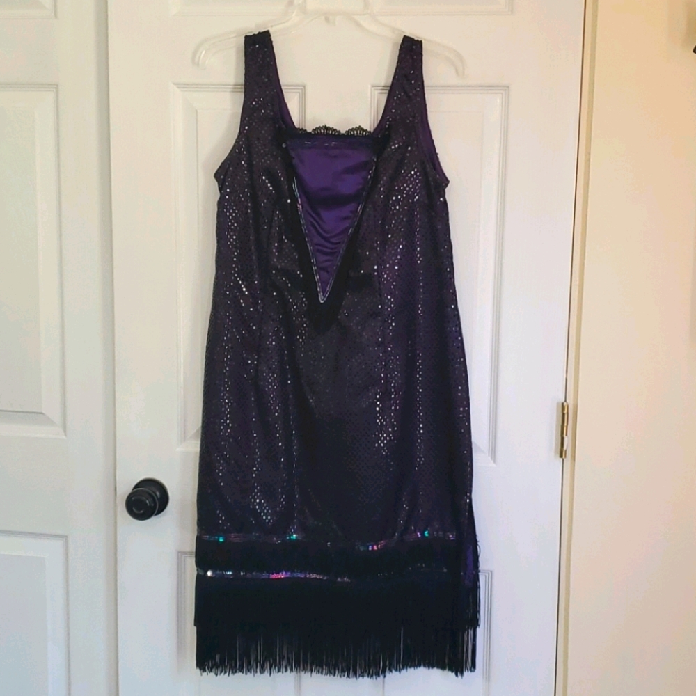 Flapper Dress Purple Black Iridescent Costume - Gem